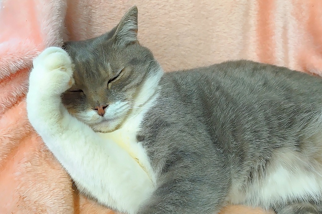 DSC_0639 | 株式会社大月クレー射撃場